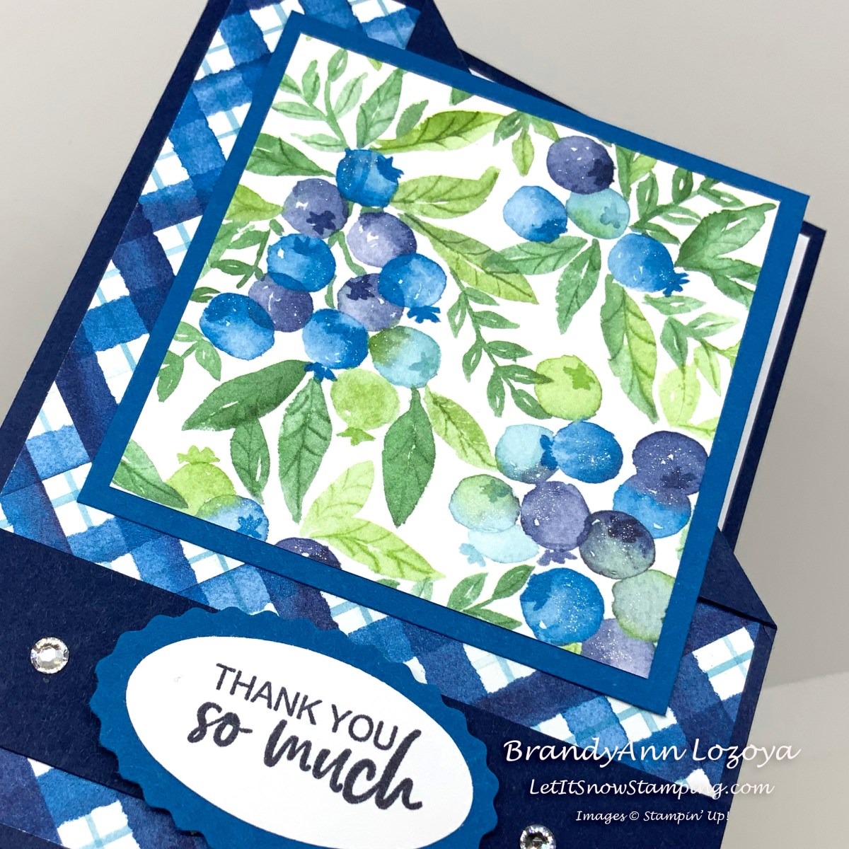 Sale-A-Bration Scramble Week – Project #5 – Let It Snow Stamping